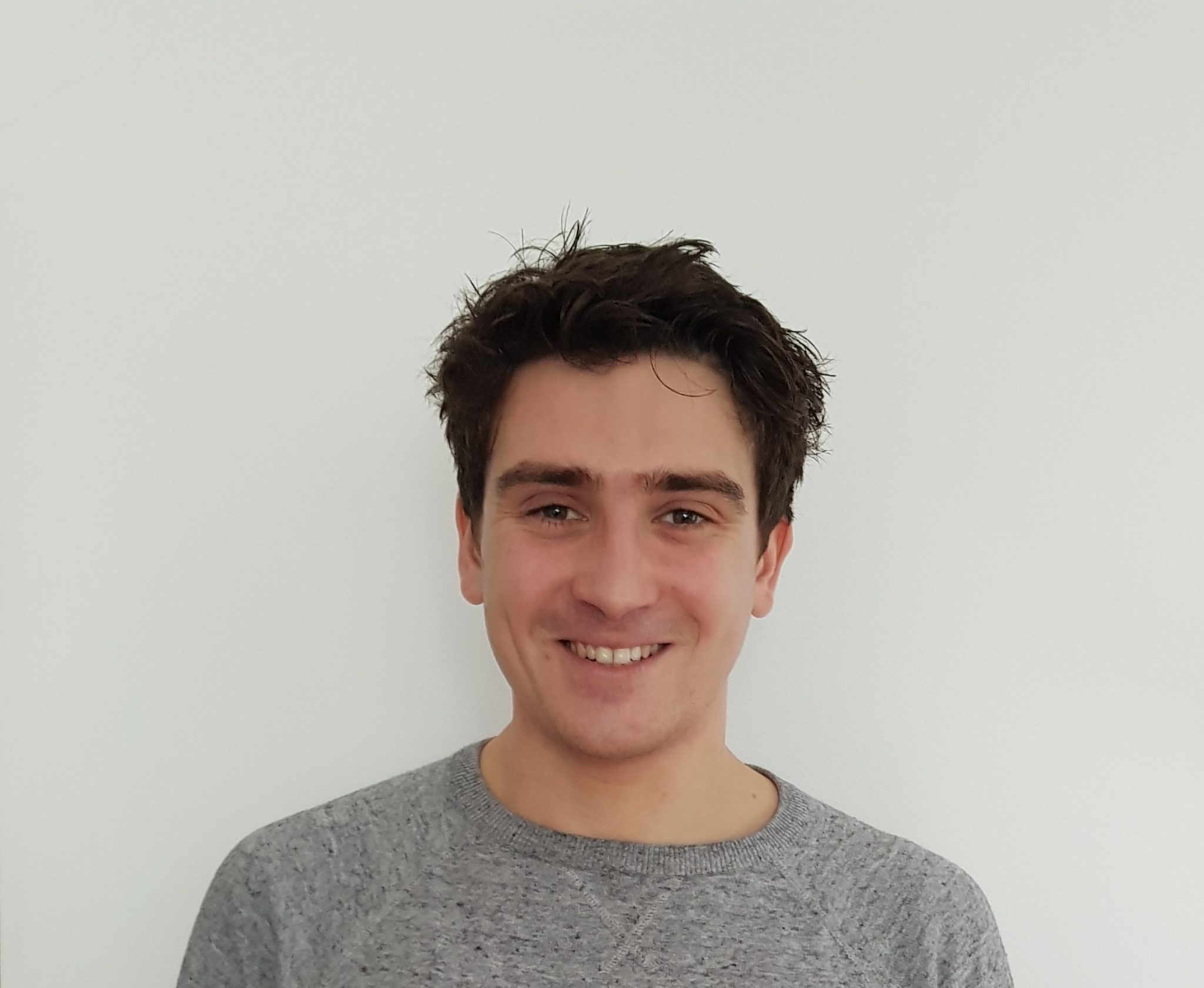 The challenges and opportunities of cold plasma for the agri-food ...