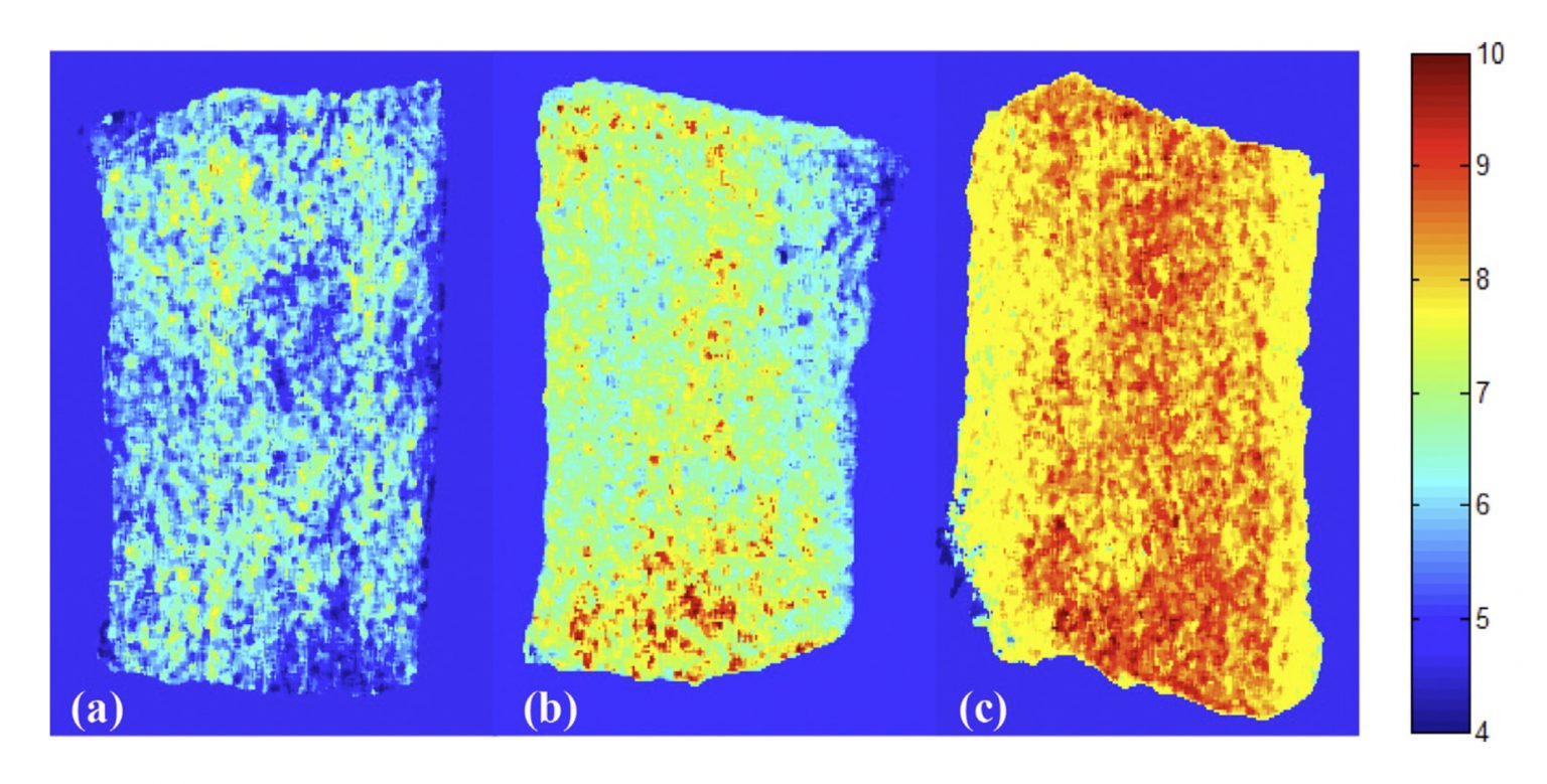 Applications of hyperspectral imaging in food safety - New Food Magazine