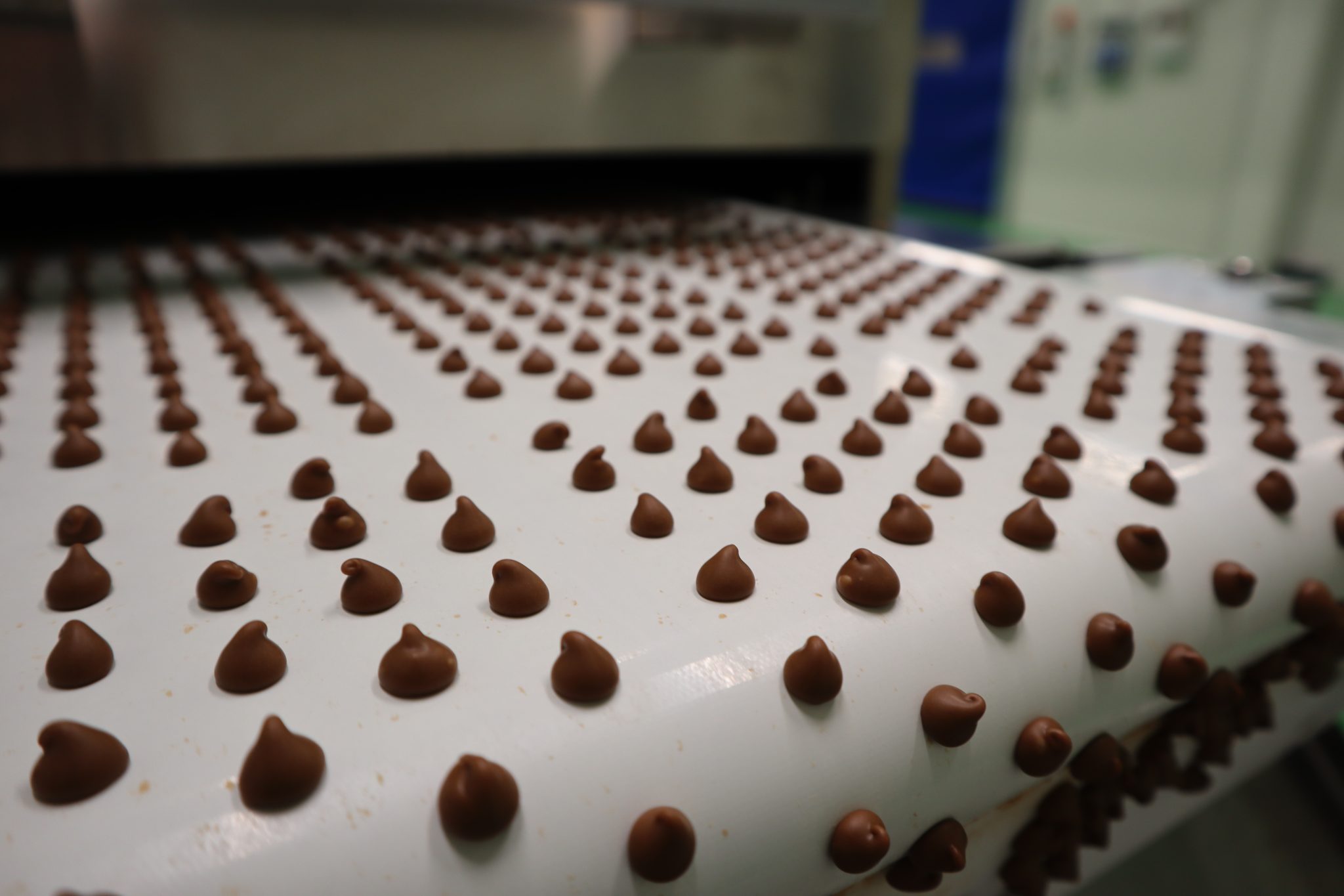Foreverland scales cocoa-free chocolate production with new Puglia facility