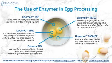 Application Note: The Use of Enzymes in Egg Processing - New Food Magazine