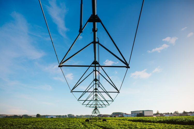 Why water efficiency is key to creating a sustainable food system - New ...