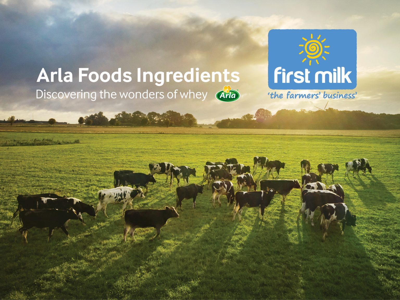Arla Foods Ingredients - News, Articles and Whitepapers - New Food Magazine
