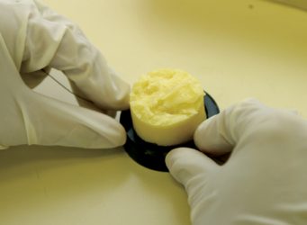 What’s inside cheese? - New Food Magazine