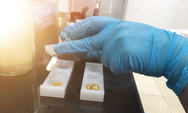 The fundamental importance of chemical food safety testing