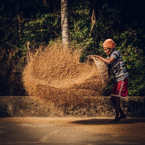 Ministry of Food Processing Industry India - News, Articles and ...