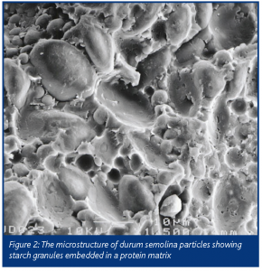 Pasta: strength and structure - New Food Magazine