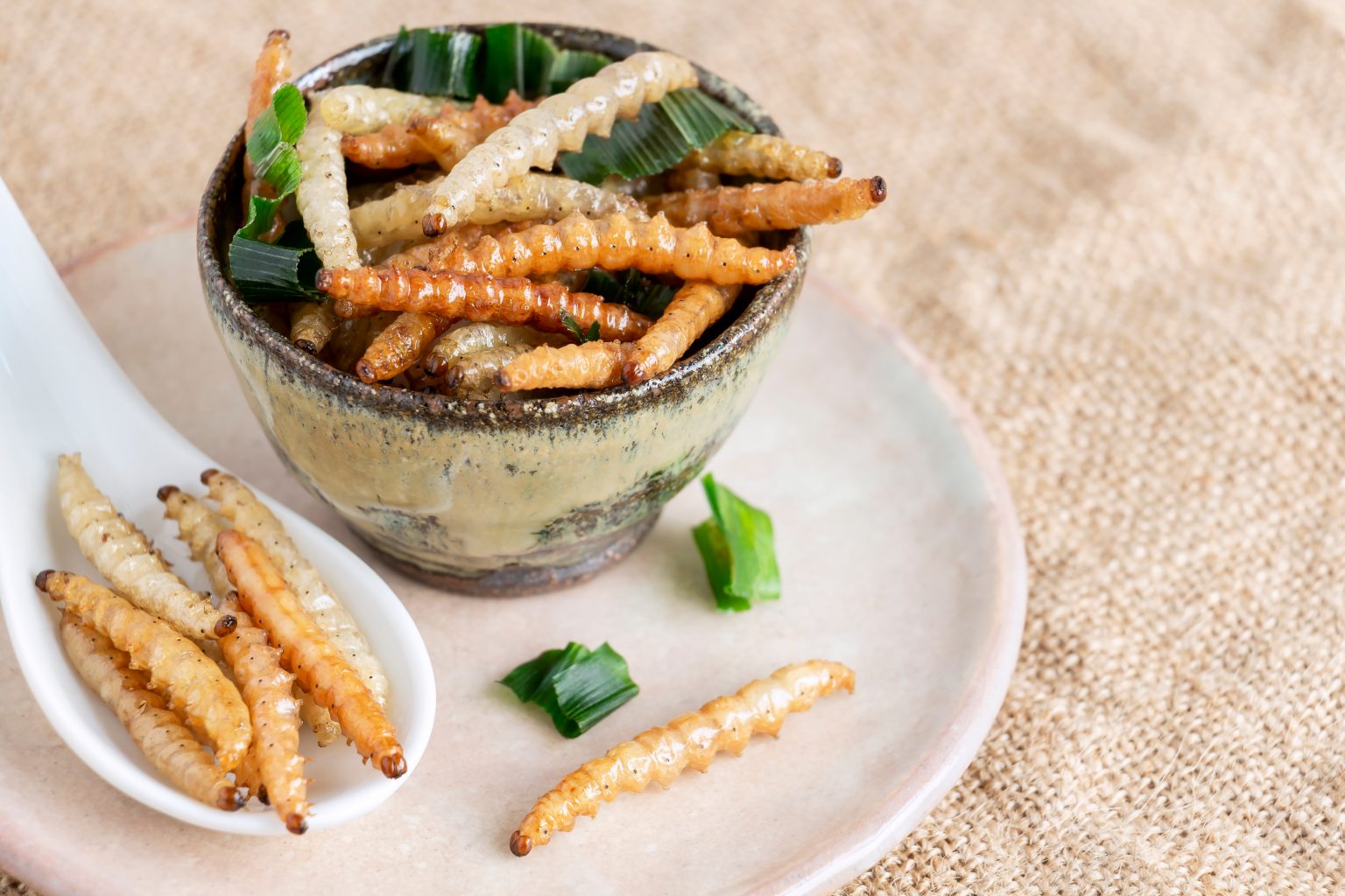 Are bugs the future of pet food? - New Food Magazine