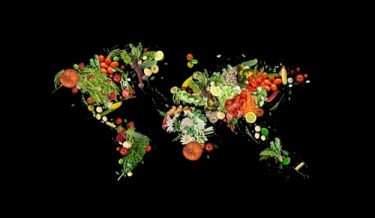 Ensuring food safety through accurate traceability: why knowing your ...