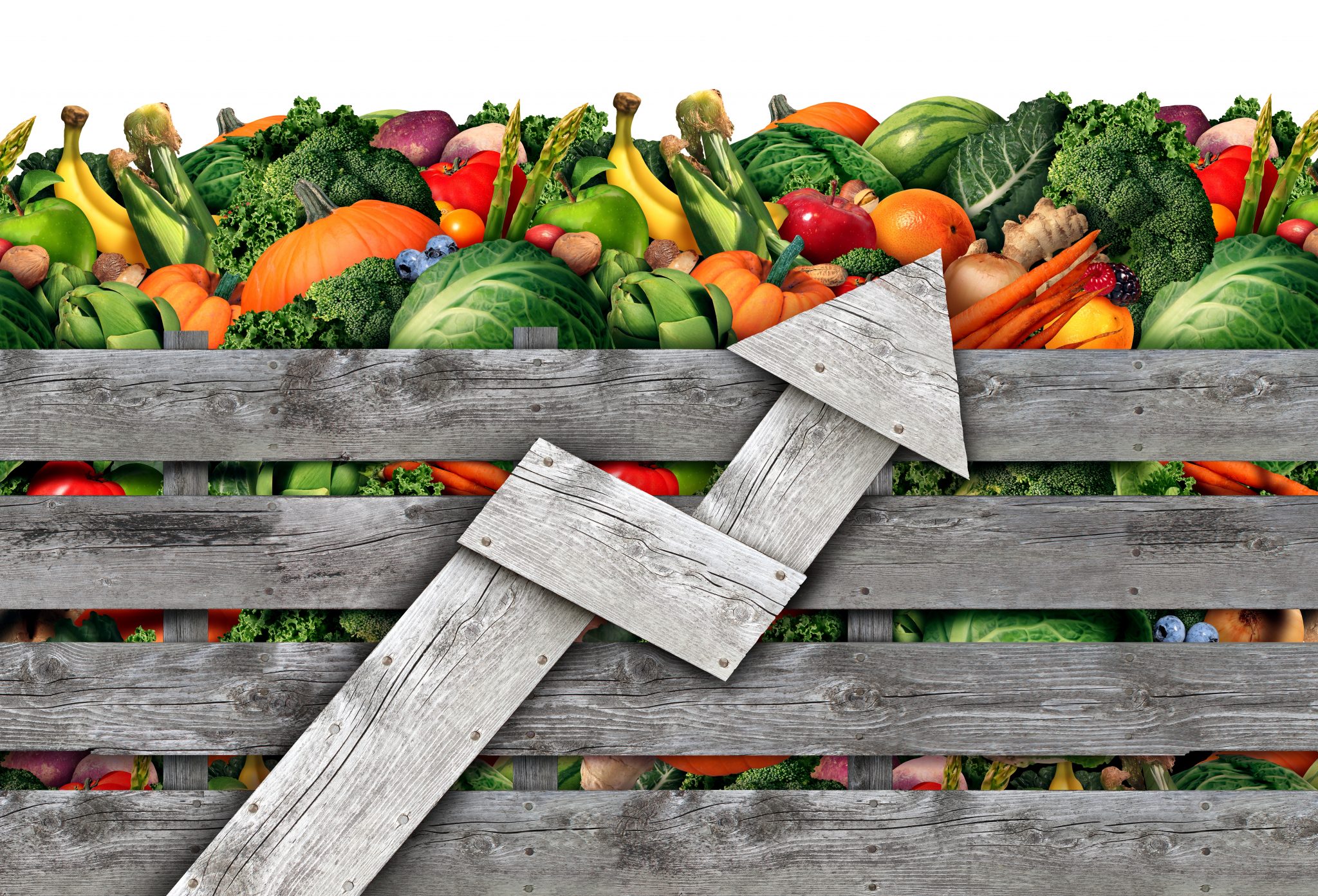 Tom Marsland - News, Articles and Whitepapers - New Food Magazine