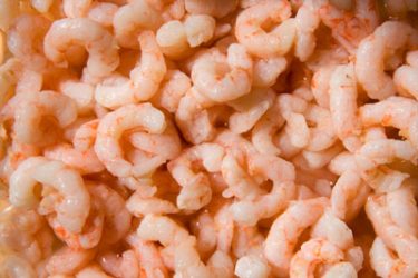 Superchilling can safely extend shelf life by 120%